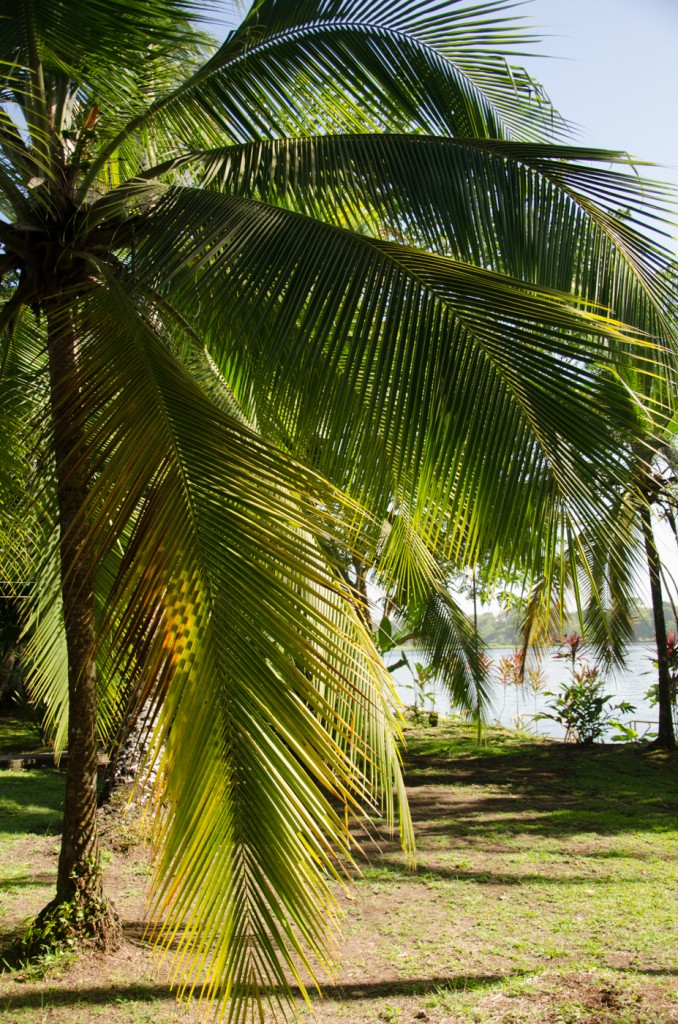 Unplugging Costa Rica - Duff's Suitcase