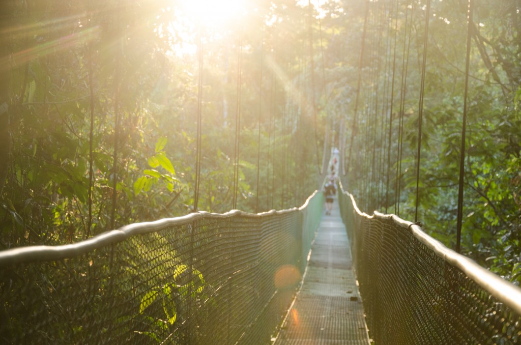 Unplugging Costa Rica - Duff's Suitcase