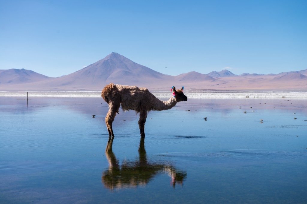 Salt, sky and sand on a 4x4 trip through Bolivia - Duff's Suitcase
