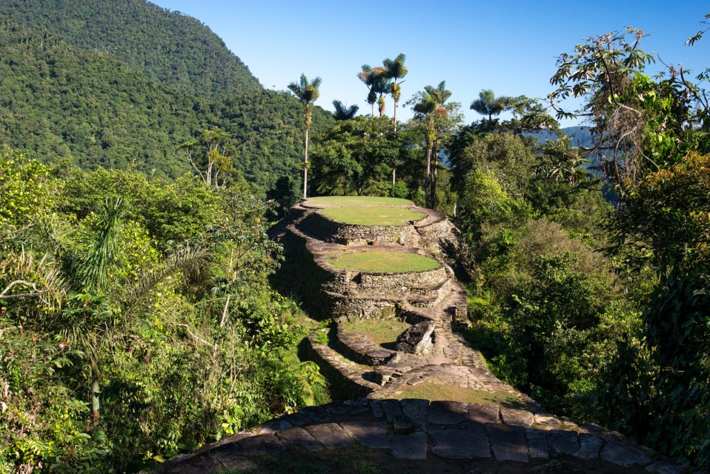 A jungle trek to Colombia's Lost City - Duff's Suitcase