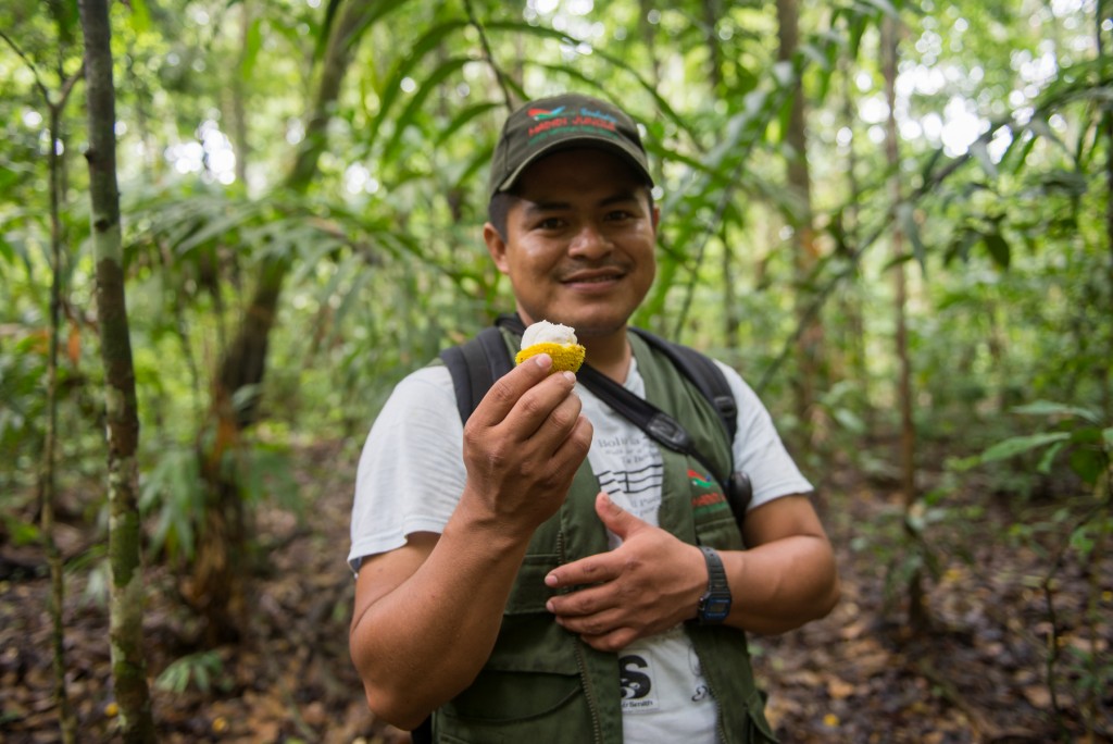 Alternative Amazon: Madidi National Park, Bolivia