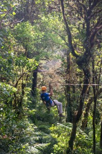 Zipline Instagram-1 - Duff's Suitcase